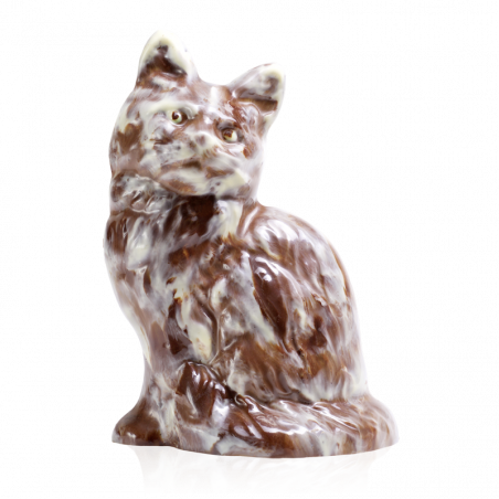 CHAT MISTIGRIS - STOP